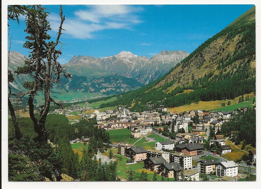 PONTRESINA GEGEN ALBULAKETTE (Gebraucht) in Küttigen für CHF 0.7 – mit ...