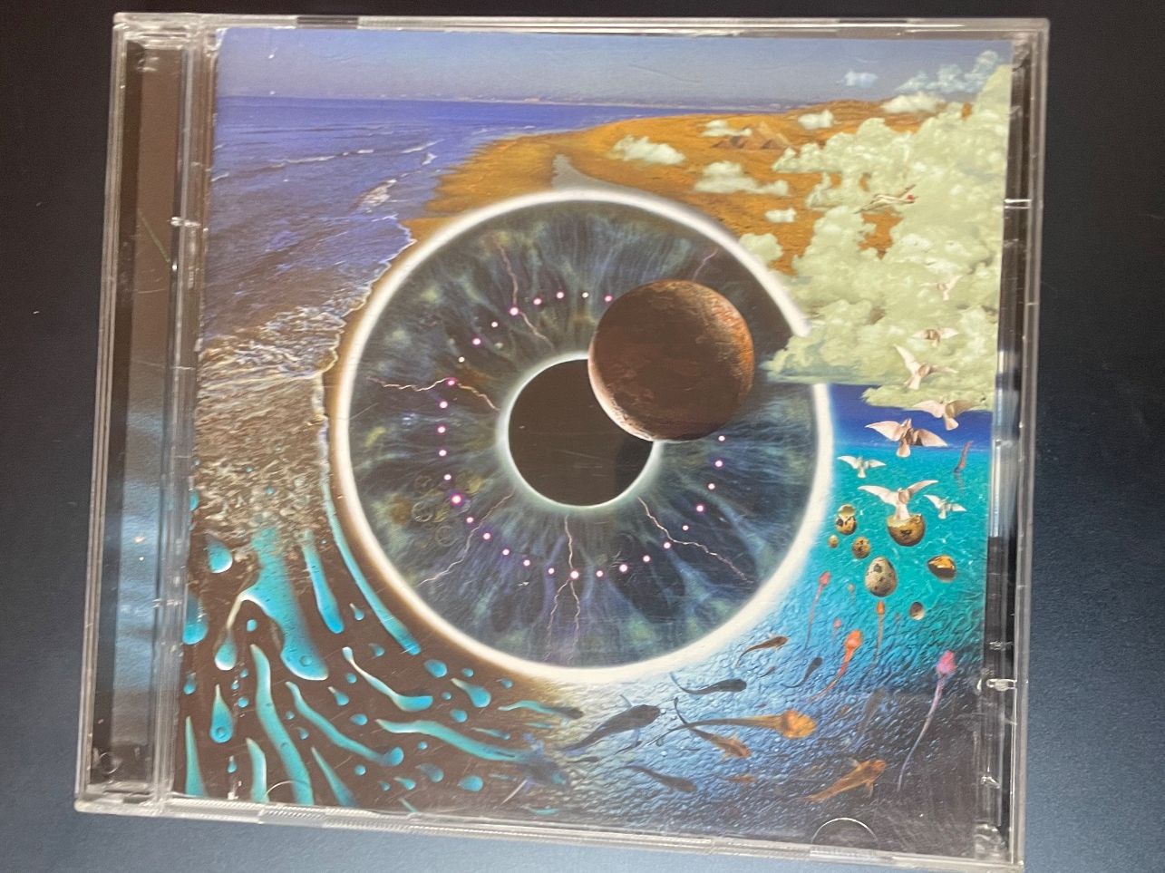 Pink Floyd - Pulse Live 2 CD - Top Zustand - Rar (Gebraucht) in Muri b ...