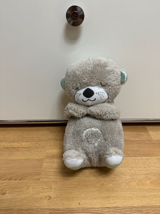 Fisher-Price Schlummer-Otter | Kaufen auf Ricardo