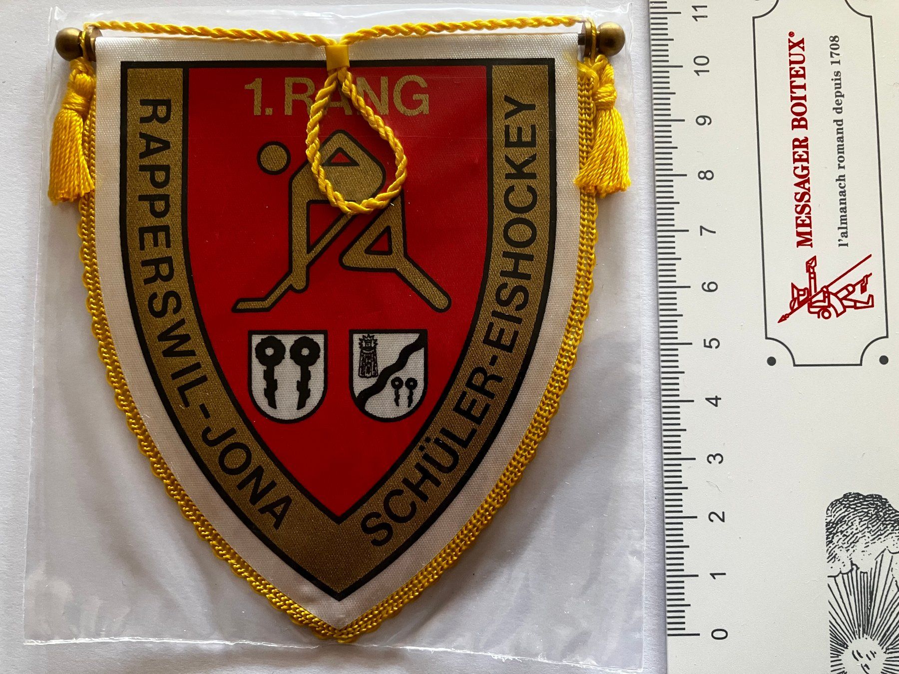 Vintage Fanion/Wimpel EHC RAPPERSWIL-JONA SCHÜLER 1. RANG (Neuf avec ...
