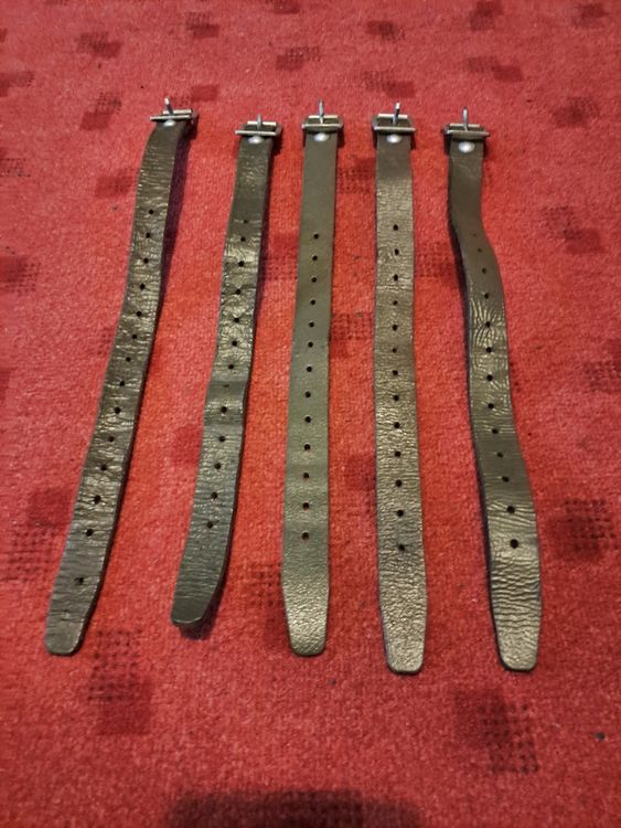 5 Lederriemen ( Riemli ) , Grün kurz (Neu (gemäss Beschreibung)) in St.Gallen für CHF 30 – mit ...