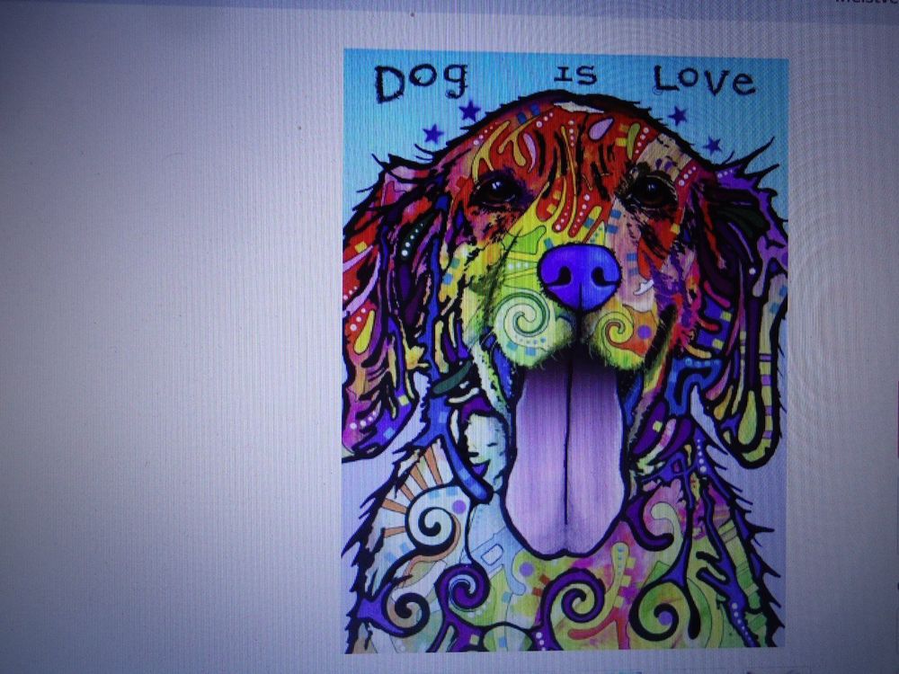 neu! Malen nach Zahlen, 40 x 50 cm, alles dabei + Rahmen (Neu (gemäss Beschreibung)) in Schüpfen ...