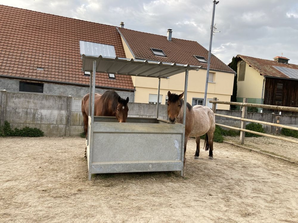 Heuraufe (Gebraucht) in Zwingen für CHF 890 – nur Abholung auf Ricardo kaufen