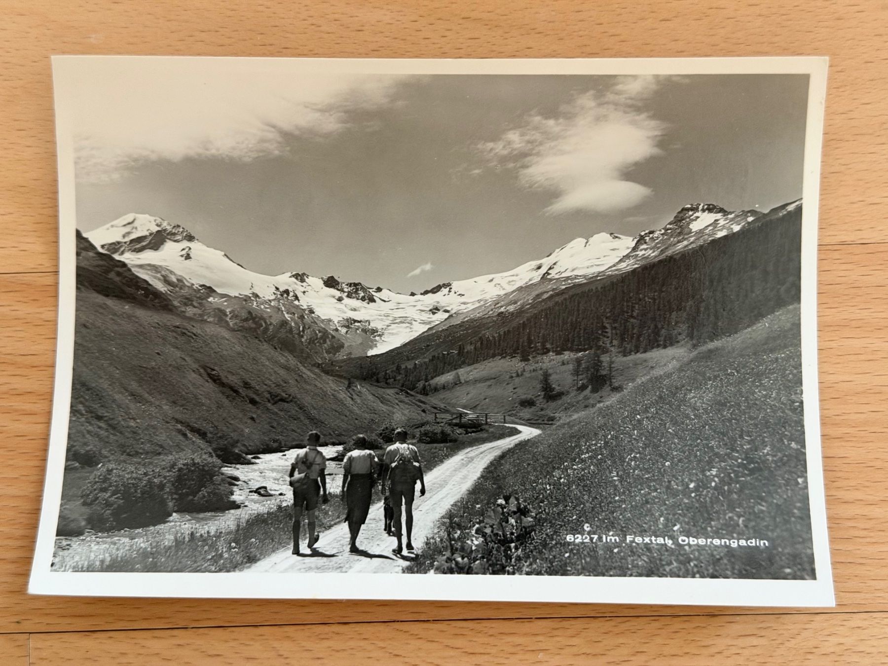Albert Steiner St. Moritz 6227, Fextal Engadin (Gebraucht) in St.Moritz ...