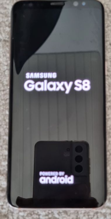 Samsung S8 64Gb | Kaufen auf Ricardo