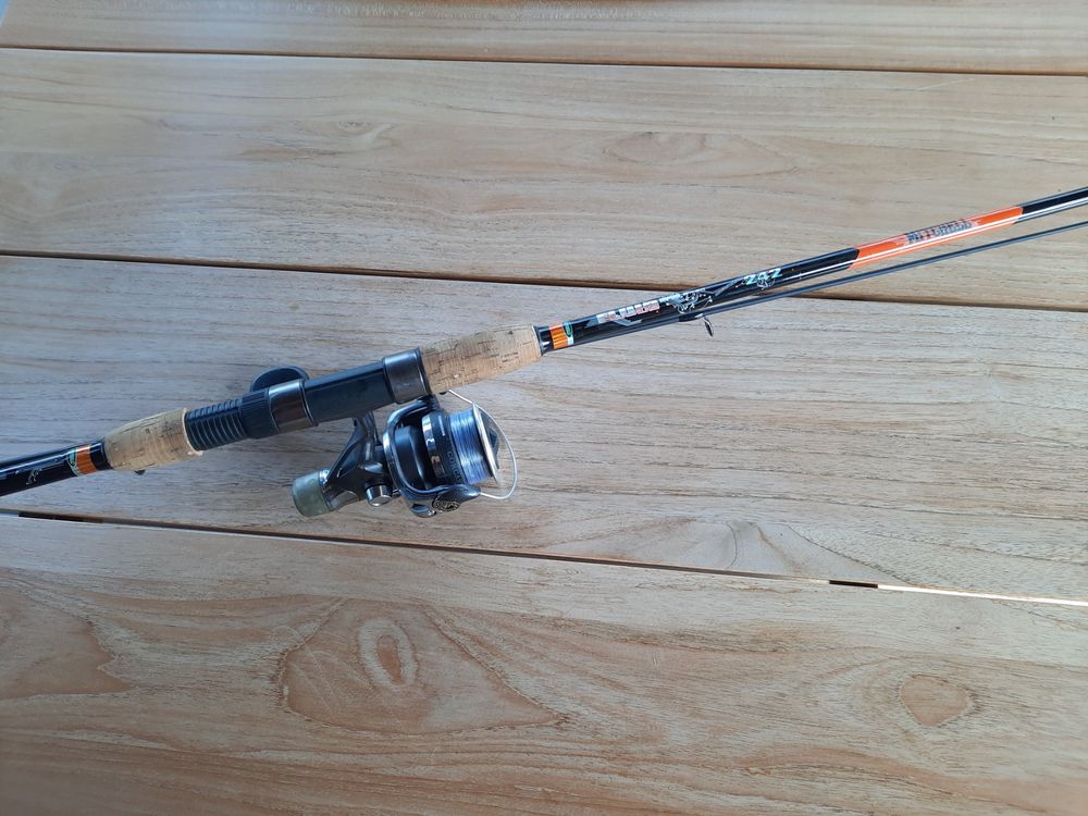 Mitchell Rute + Rolle Cormoran, Spinning, 2.4m (Gebraucht) in Wilen ...