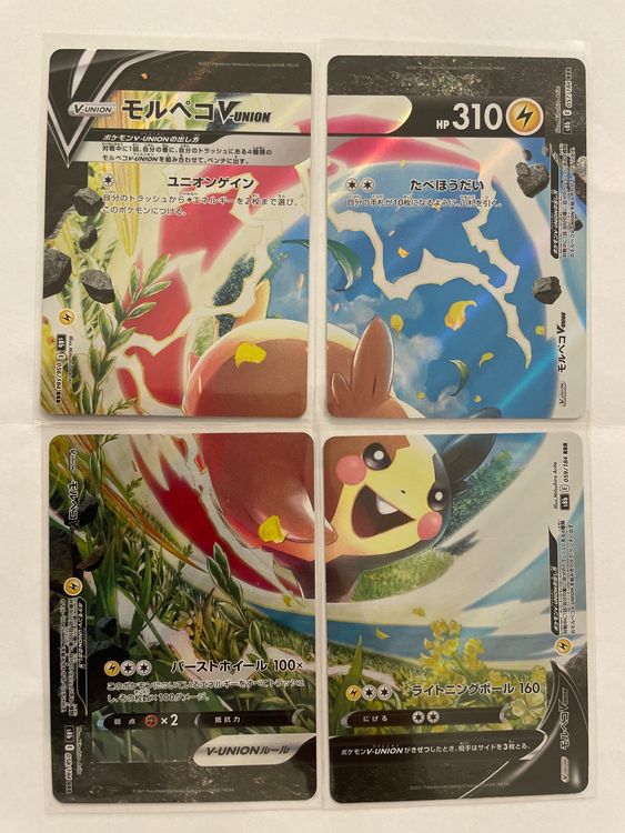 👑Morpeko v-union jap complet 👑 | Kaufen auf Ricardo