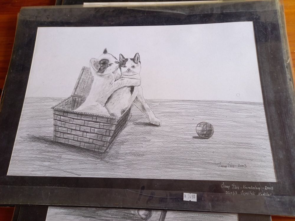 Bild Katzen (Gebraucht) in Vilters für CHF 1 – nur Abholung auf Ricardo kaufen