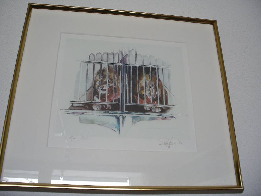 Rolf Knie (Gebraucht) in Kaiseraugst für CHF 1500 – nur Abholung auf Ricardo kaufen