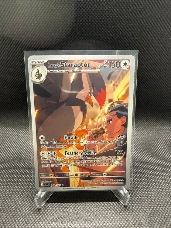 Pokemon Ascended Heroes Larrys Staraptor IR 249/217 (Gebraucht) in Horn ...