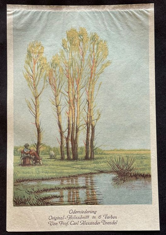 Orig. Holzschnitt von Carl Alexander Brendel - Natur, 1921 (Gebraucht ...