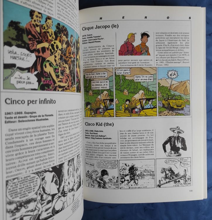DICTIONNAIRE DE LA BANDE DESSINEE Bordas 730 pages (Gebraucht) in Biel ...