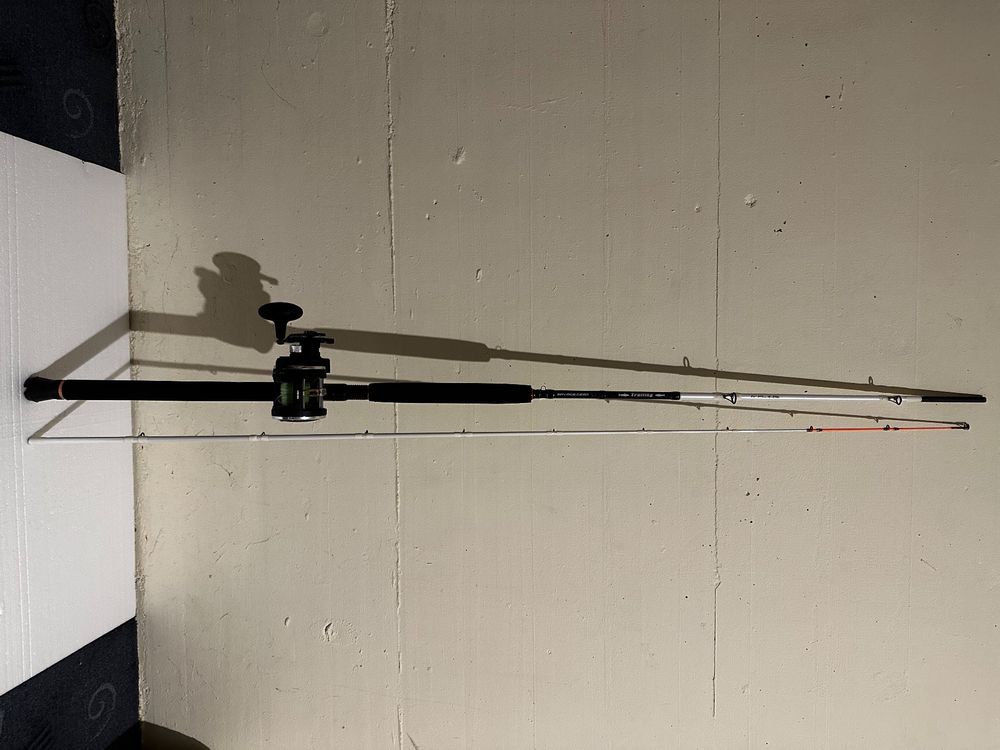 Savage Gear Trolling / Penn Rival Combo (Gebraucht) in Rafz für CHF 100 ...