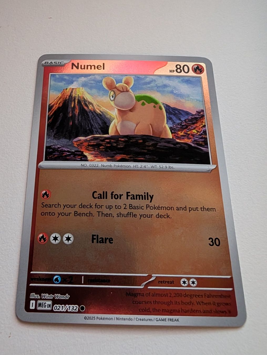 Numel Pokemon Card Reverse Holo EN 021 Mega Evolution (Gebraucht) in ...