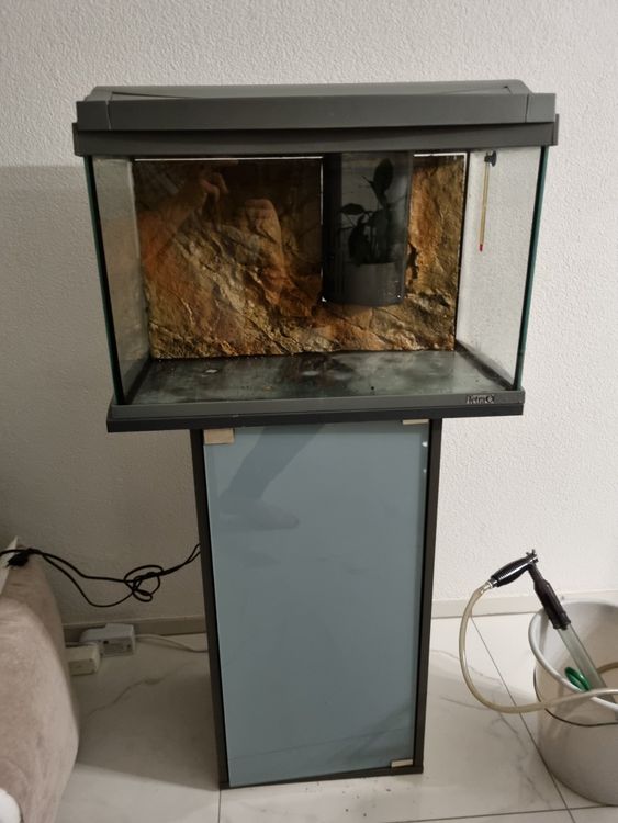 Tetra AquaArt Aquarium Komplett-Set LED | Kaufen auf Ricardo