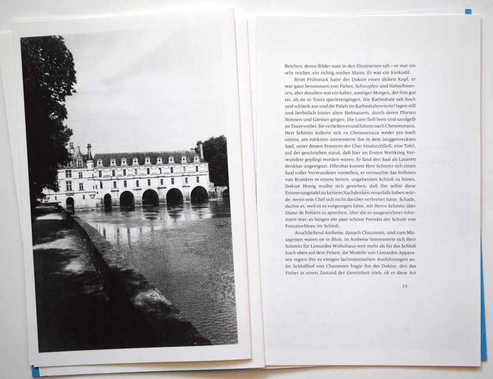 Alfred Andersch Adrian Frutiger Chenonceaux Typografie | Kaufen auf Ricardo