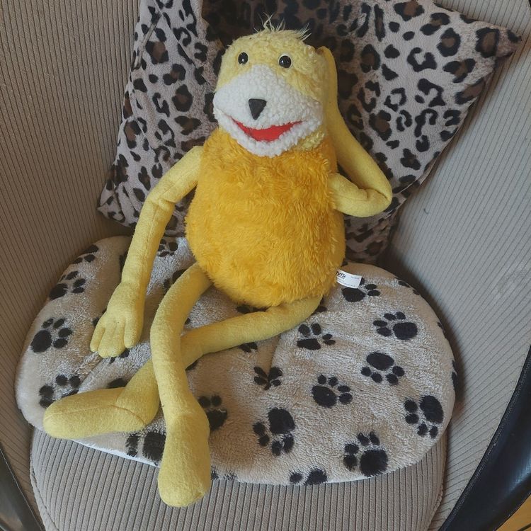 Peluche Flat Eric Quentin Dupieux pub Levis et clip Mr Oïzo (Gebraucht) in Lengnau BE für CHF ...