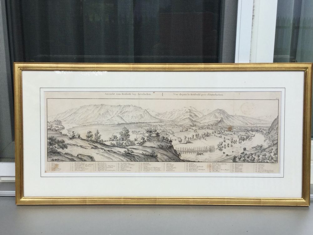 Stich Stähli Scheurman Alpenpanorama Karte 18./19. Jht. | Kaufen auf ...