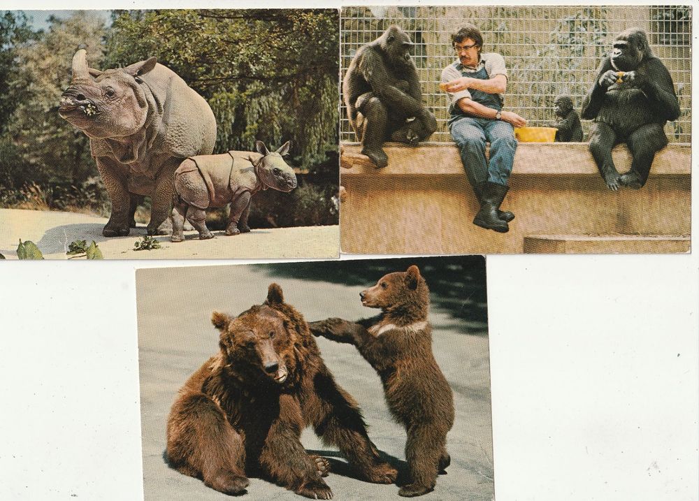 9 AK Basler Zoo (Gebraucht) in Rorschacherberg für CHF 9 – mit ...
