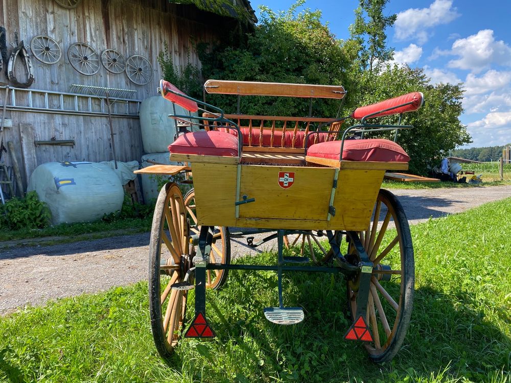 Kutsche (Gebraucht) in Baar für CHF 50 – nur Abholung auf Ricardo kaufen