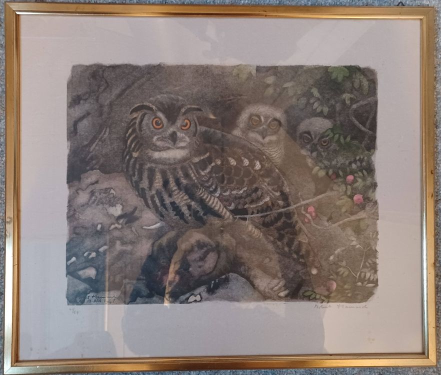 Uhu - Antikes Bild mit vergoldetem Rahmen (Gebraucht) in Gunzgen für ...