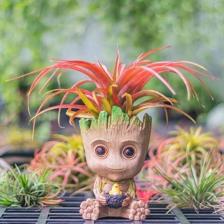 Baby Groot Mini sitzend | Kaufen auf Ricardo