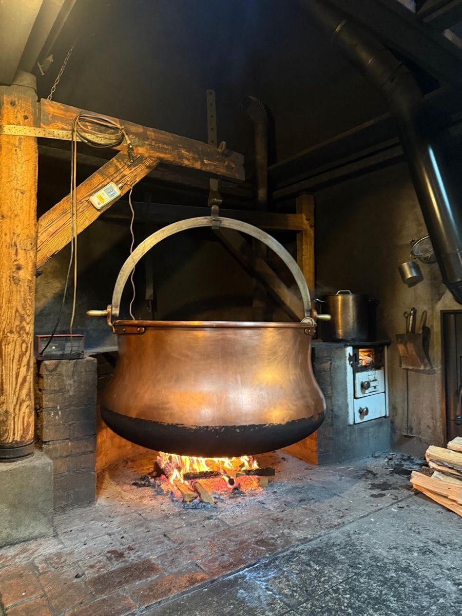 Raclette Käse direkt von der Alp, Kilo Preis (Neu und originalverpackt ...