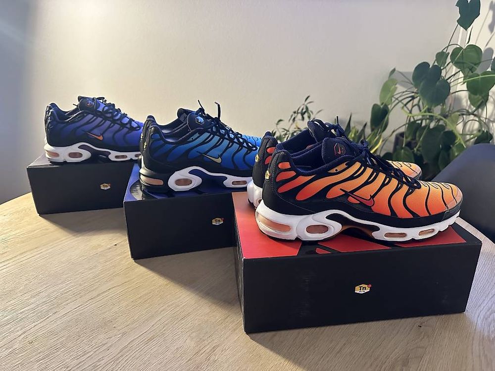 Nike Air Max Plus TN Package + Boxes (Gebraucht) in Luzern für CHF 360 ...