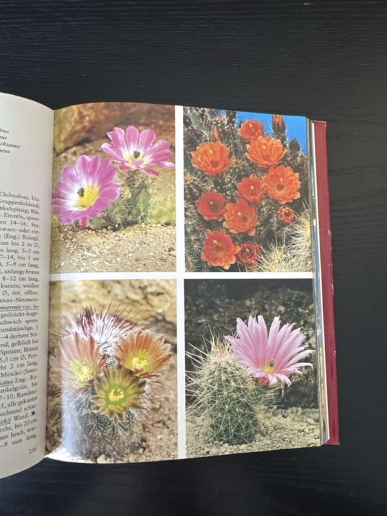 BLV Handbuch der Kakteen von Hans Hecht, Top Zustand!🌵(49) (Gebraucht ...
