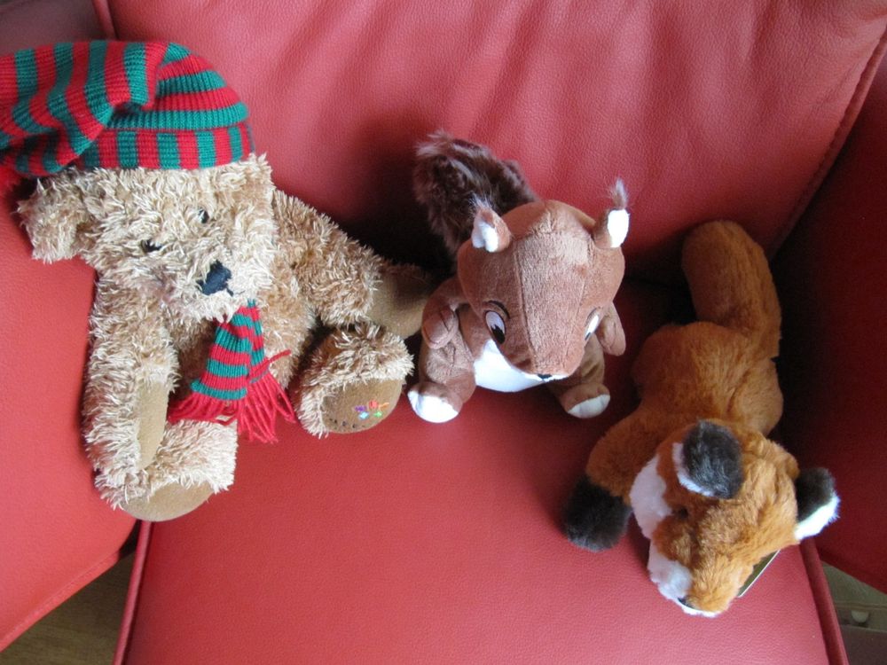 3 Plüsch-Tiere: Fuchs Eichhörnchen Teddybär (Neu (gemäss Beschreibung ...