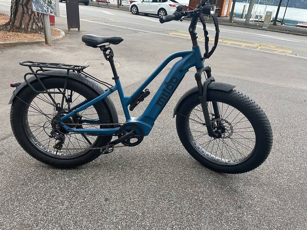 E-BIKE MILOO (25 km/h) con leva acceleratore ausiliaria (Usato) a ...
