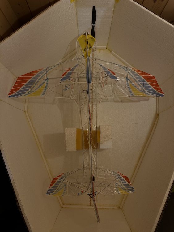 Indoor Slow Flyer Kunstflugmodell F3P Elanor von Alan RC Fly (Gebraucht) in Zweisimmen für CHF ...