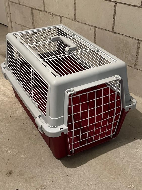 Transportbox für Zwergkaninchen / Katzen etc. (Gebraucht) in Dübendorf ...