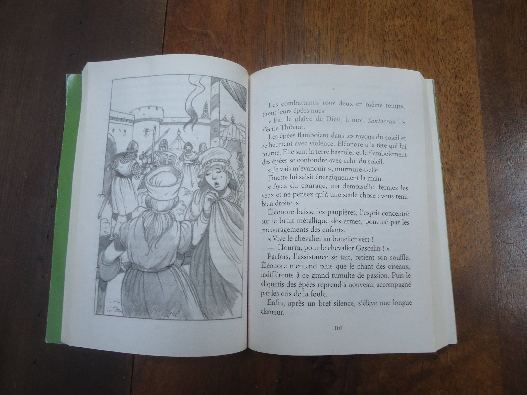 Le chevalier au bouclier vert (D'occasion) à Vessy pour CHF 1 – avec ...