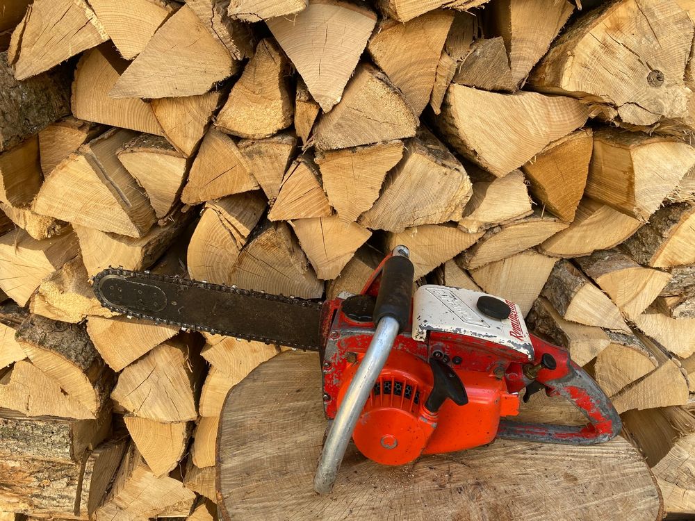 Motorsäge Remington Powerlite Scheunenfund ab Fr. 1.- | Kaufen auf Ricardo