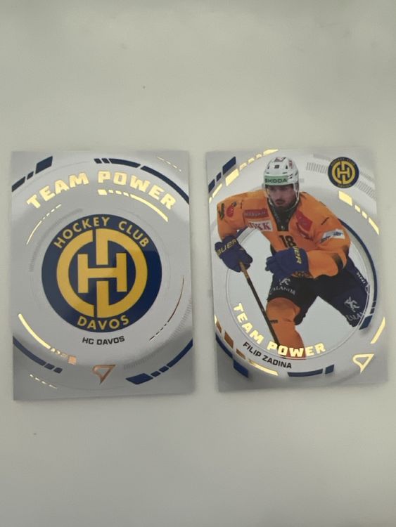 Filip Zadina Team Power HC Davos Sportzoo (Neu (gemäss Beschreibung ...