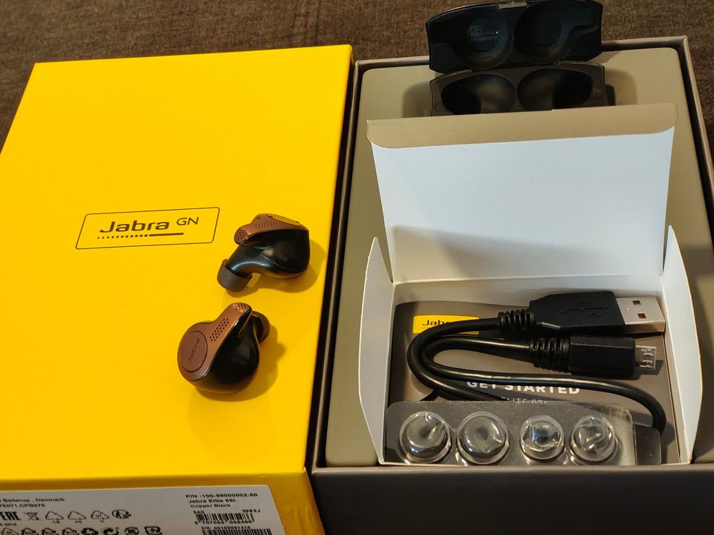 Jabra Elite 65t (Difettoso) a Ascona per CHF 1 – con consegna ...