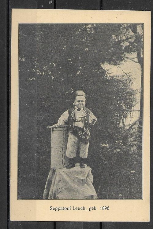 AI Oberegg Seppetoni Leuch, geb. 1896 (Gebraucht) in Schocherswil für ...