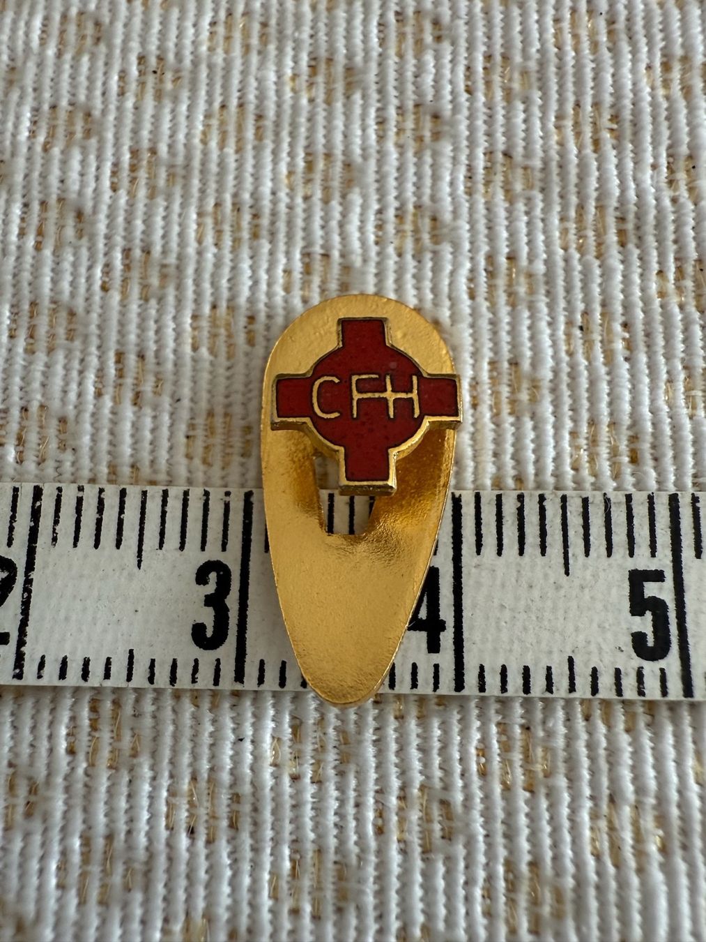 CFH - Centre de Formation en Horlogerie - Pin's - Torrini (D'occasion ...