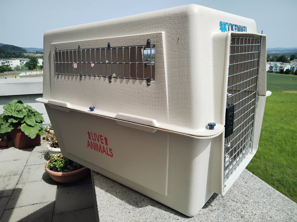 Hunde Transport Box Sky Kennel, Flug Transport Box | Kaufen auf Ricardo