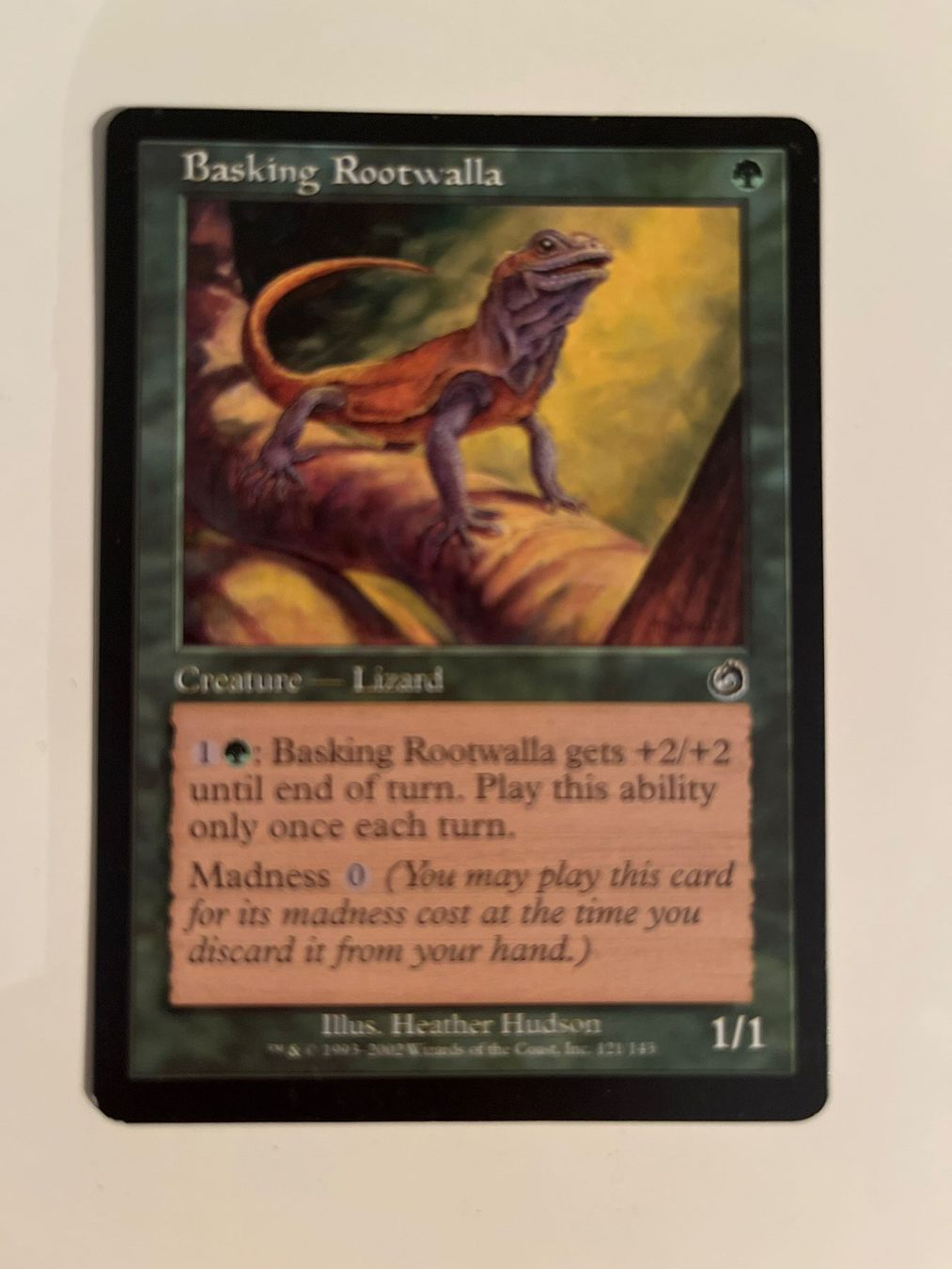 1 x Basking Rootwalla - Magic: The Gathering - MtG (Gebraucht) in ...