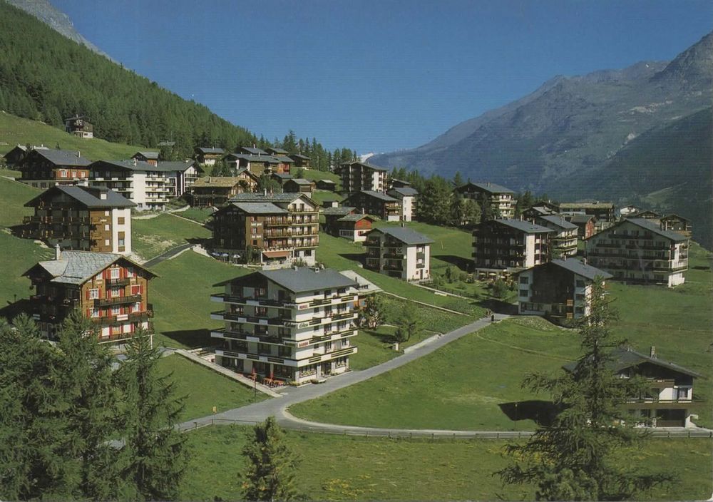 Wildi bei Saas-Fee (Gebraucht) in Melano für CHF 1 – mit Lieferung auf ...