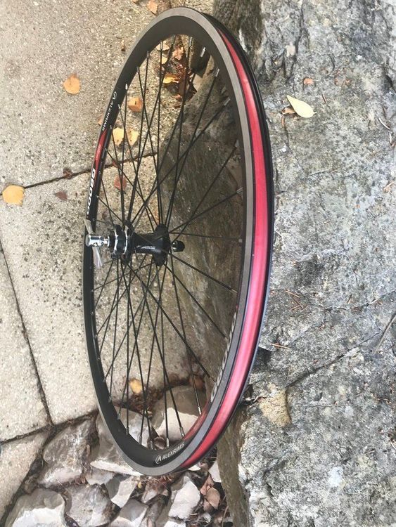 Alexrims G6000 Vorderrad 29" (622x17) | Kaufen auf Ricardo