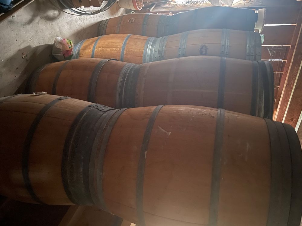 Eichenfass - Fässer Eichenfass Barrique Nadalie Allier Eiche (Gebraucht ...