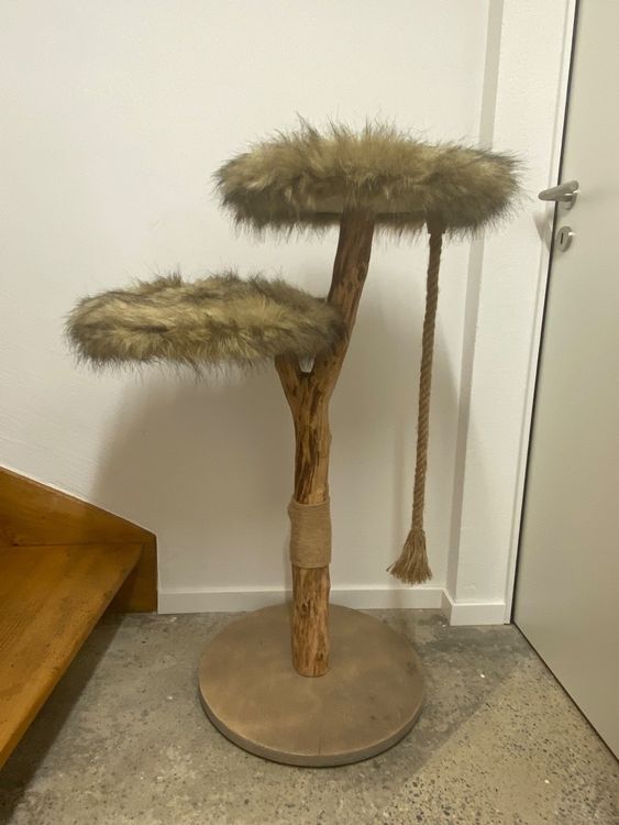 Katzenbaum aus echtem Baumstamm (Gebraucht) in Eiken für CHF 120 – nur ...