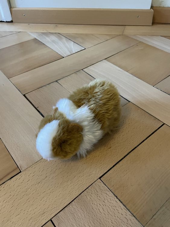 Meerschwein Stofftier neu (Neu (gemäss Beschreibung)) in St.Gallen für ...