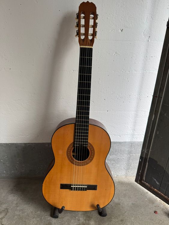 Hohner MC-06 Gitarre, inklusive Ständer - Top Zustand! (Gebraucht) in ...