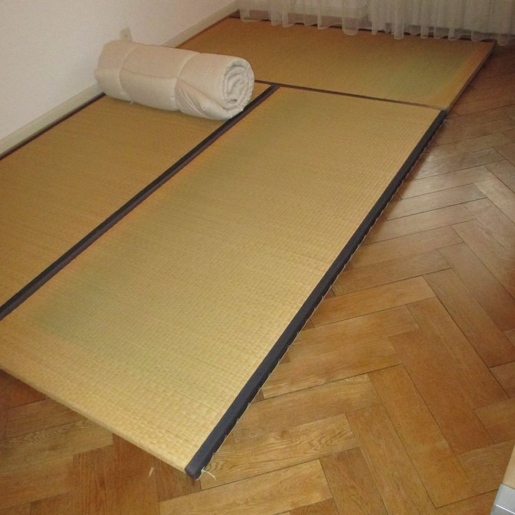 3 Tatami Reismatten (2 zu je 90x200 + 1 zu 90x180) + 1 Futon (Gebraucht ...