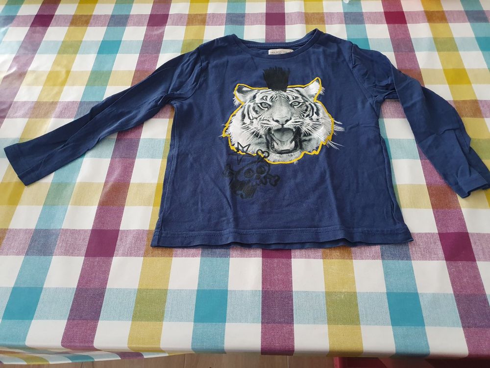 Zara Boys - Dünner Pullover - Funky Tiger- 110 | Kaufen auf Ricardo