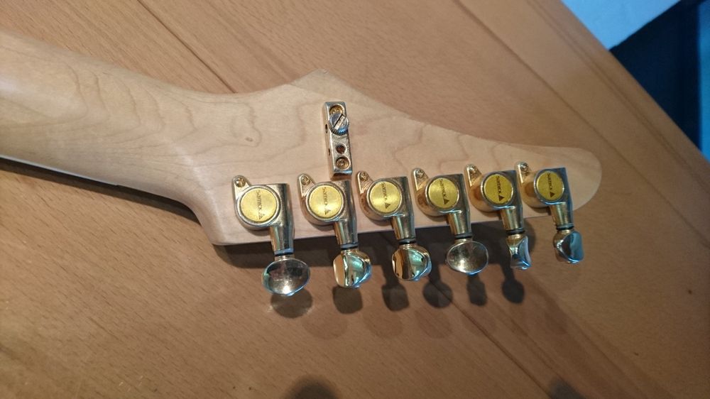 Samick E-Gitarre und Effektgerät von DigiTech (Gebraucht) in Guntershausen für CHF 200 – nur ...